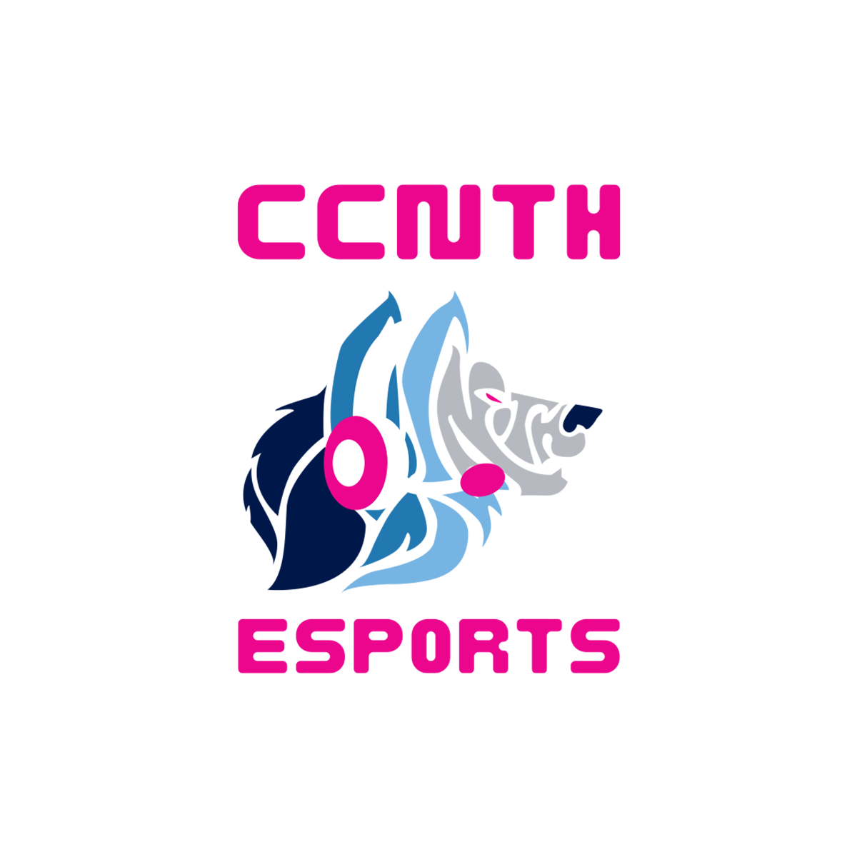 CCNTH Direwolves – Emerge Apparel