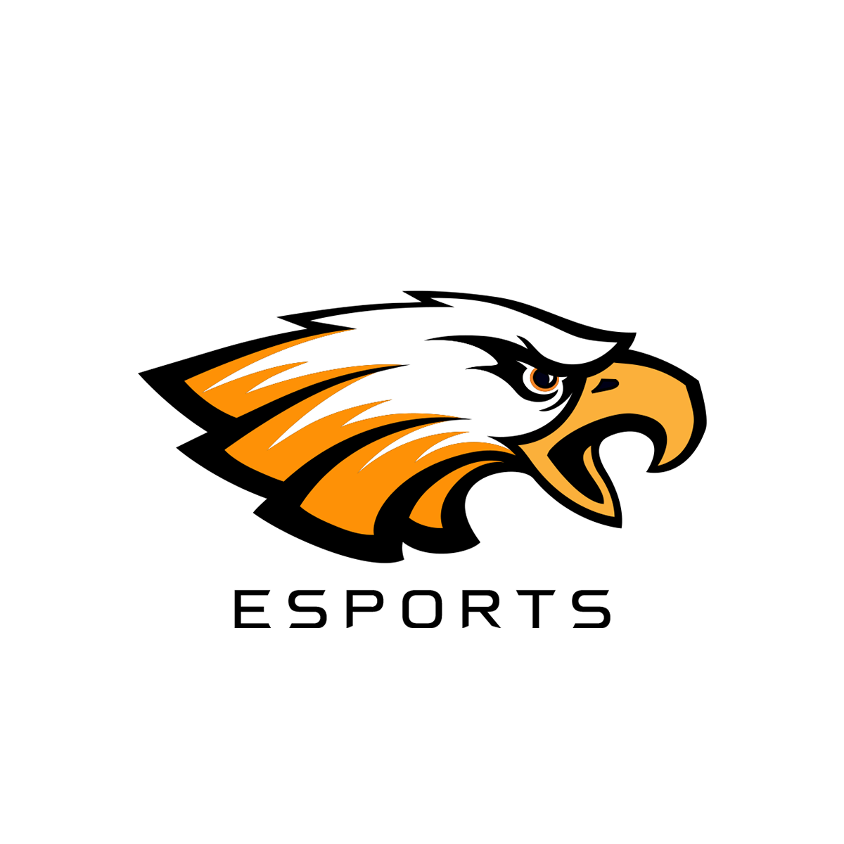 CSD Eagles HS Esports – Emerge Apparel