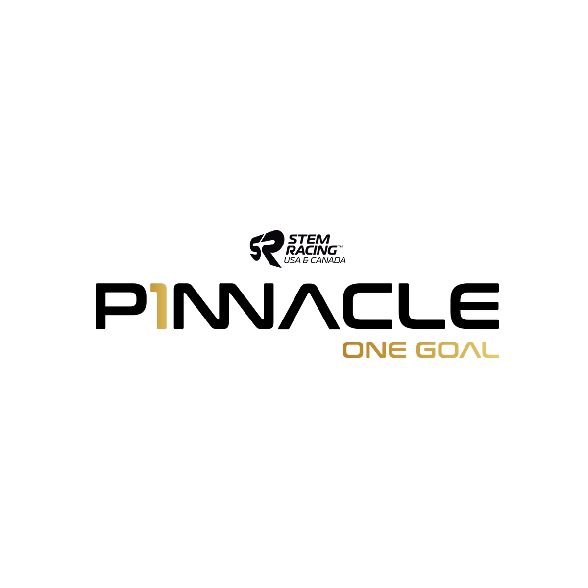 Pinnacle STEM Racing Team – Emerge Apparel